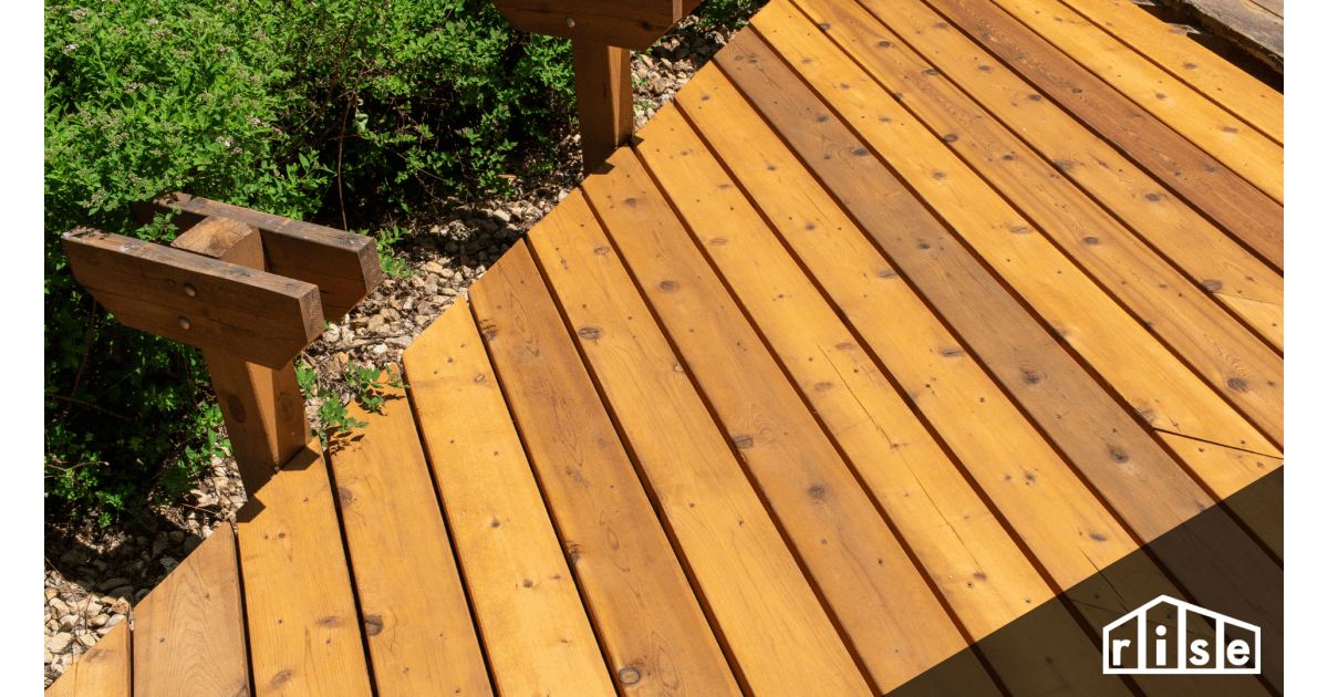 Your Guide to the Most Durable Wood Species for Outdoor Use