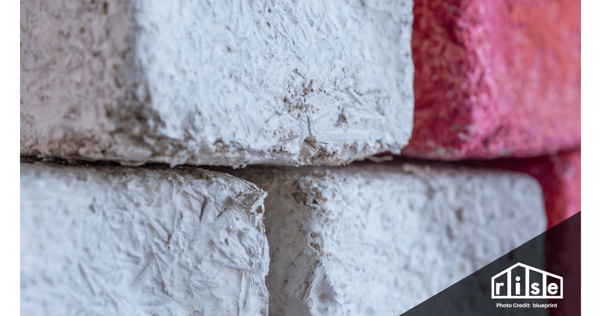 Mycelium Fungi as a Building Material