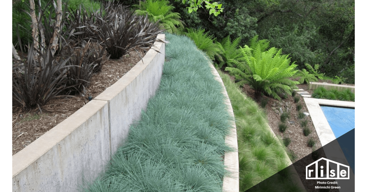 Retaining Wall Options: A Complete Guide