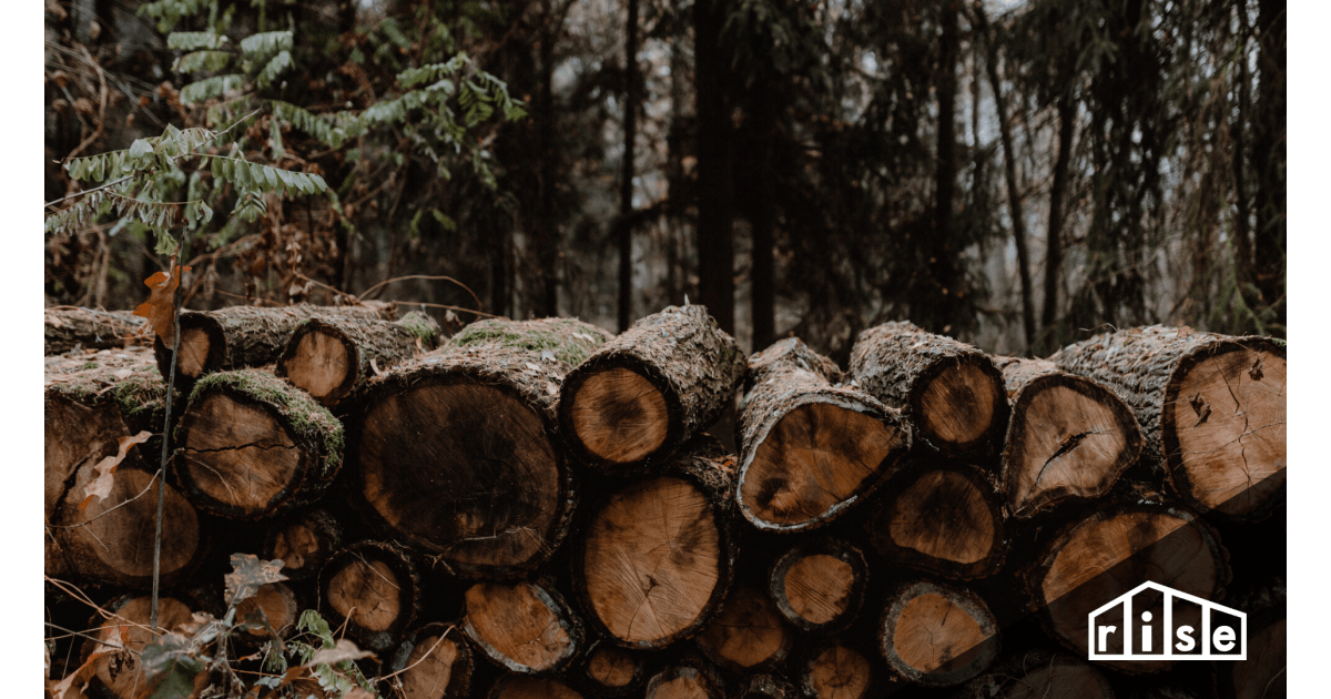 Wood Certification Programs and Sustainable Forestry
