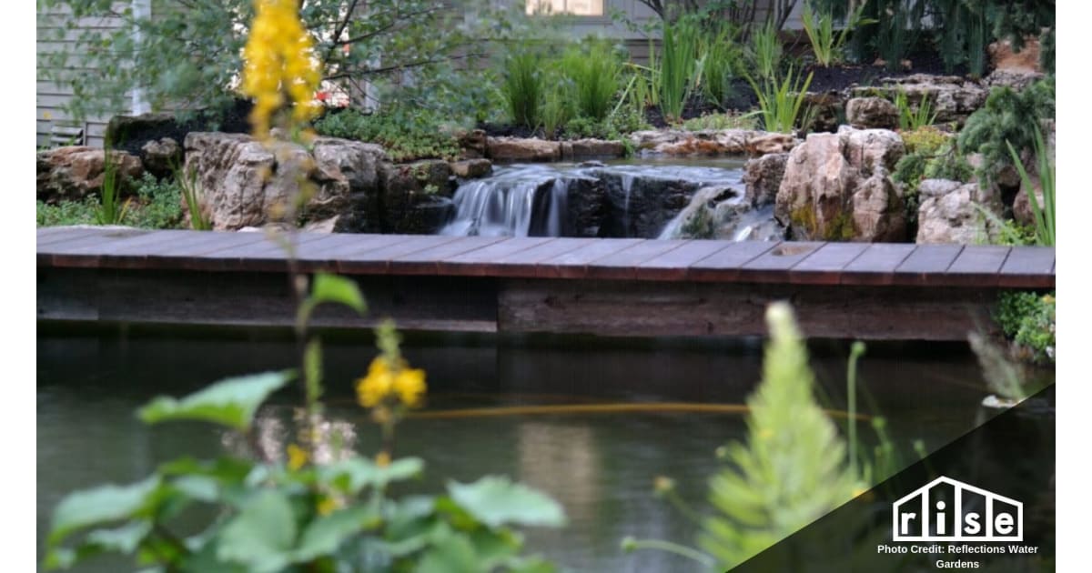 Sustainable Landscaping with a Mini Wetland