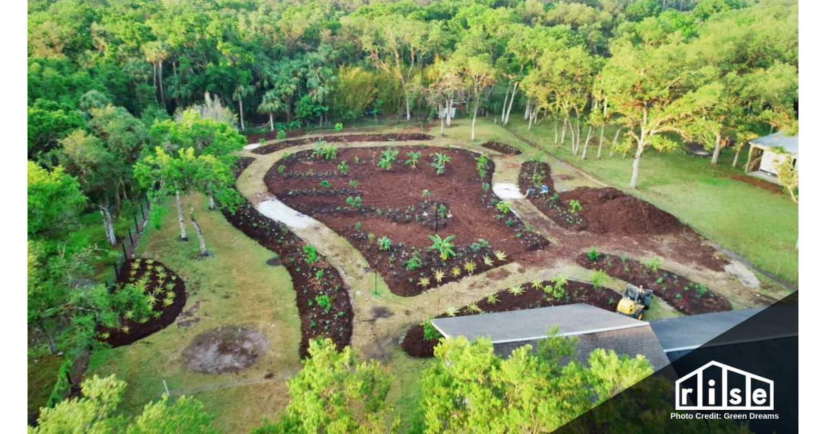 Turning Your Backyard Into a Food Forest
