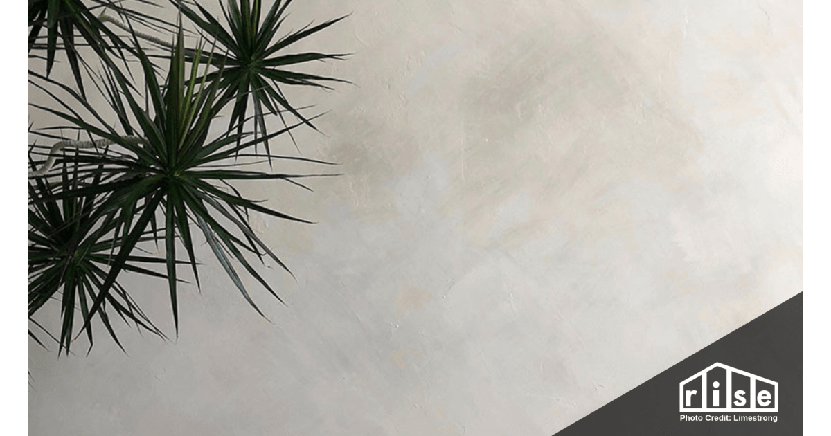 Natural Earthen and Mineral Plasters for Interior and Exterior Walls