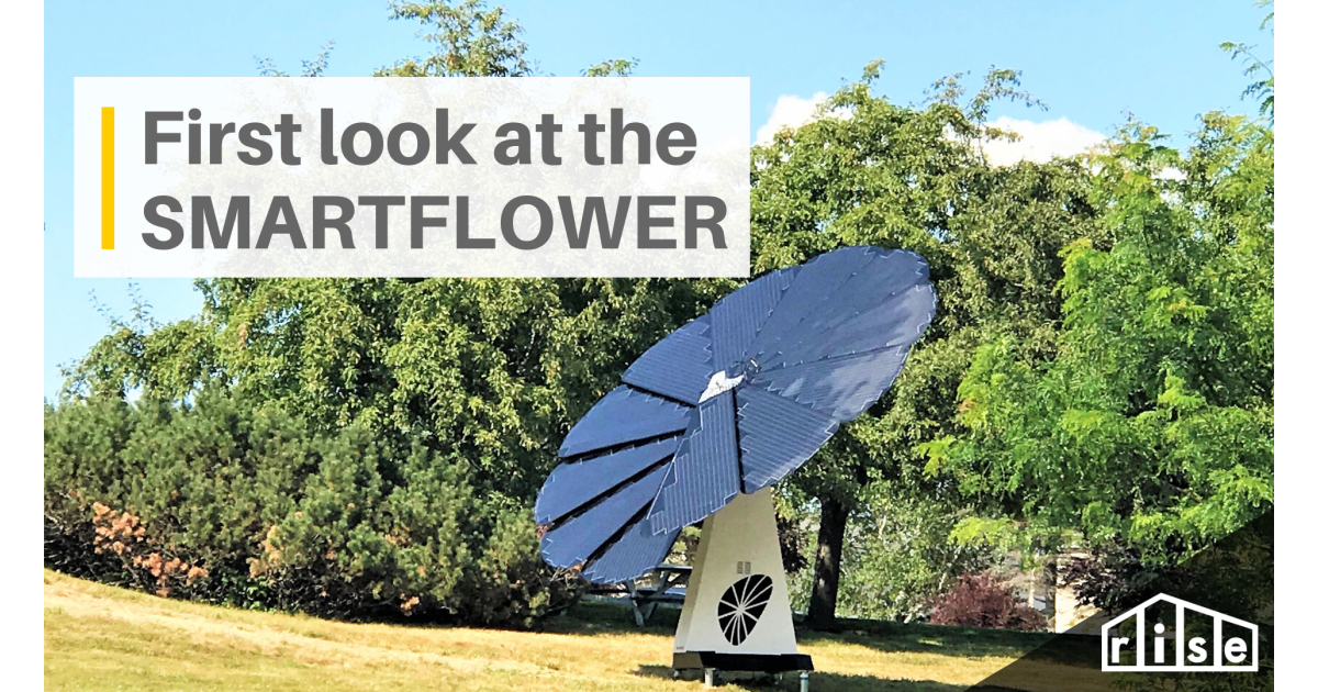 Solar Power Blossoms in your Garden